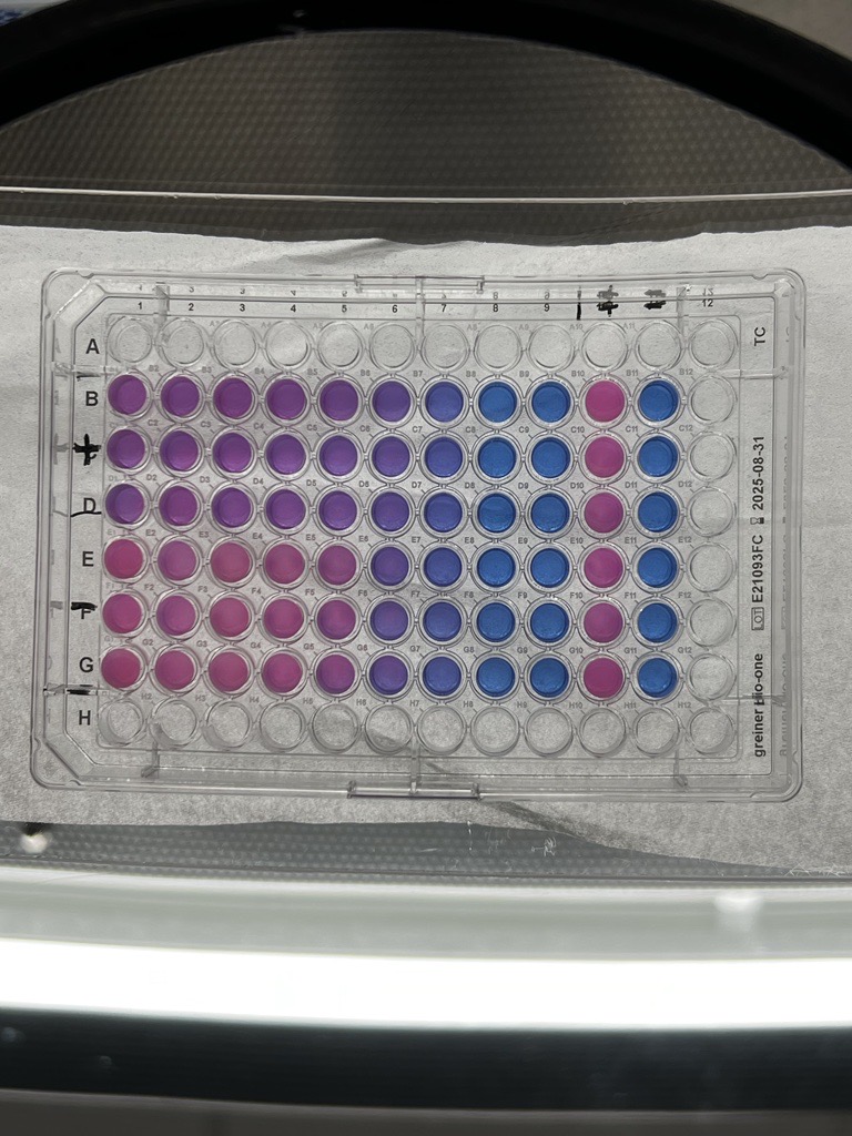 David Sherman | UW Microbiology